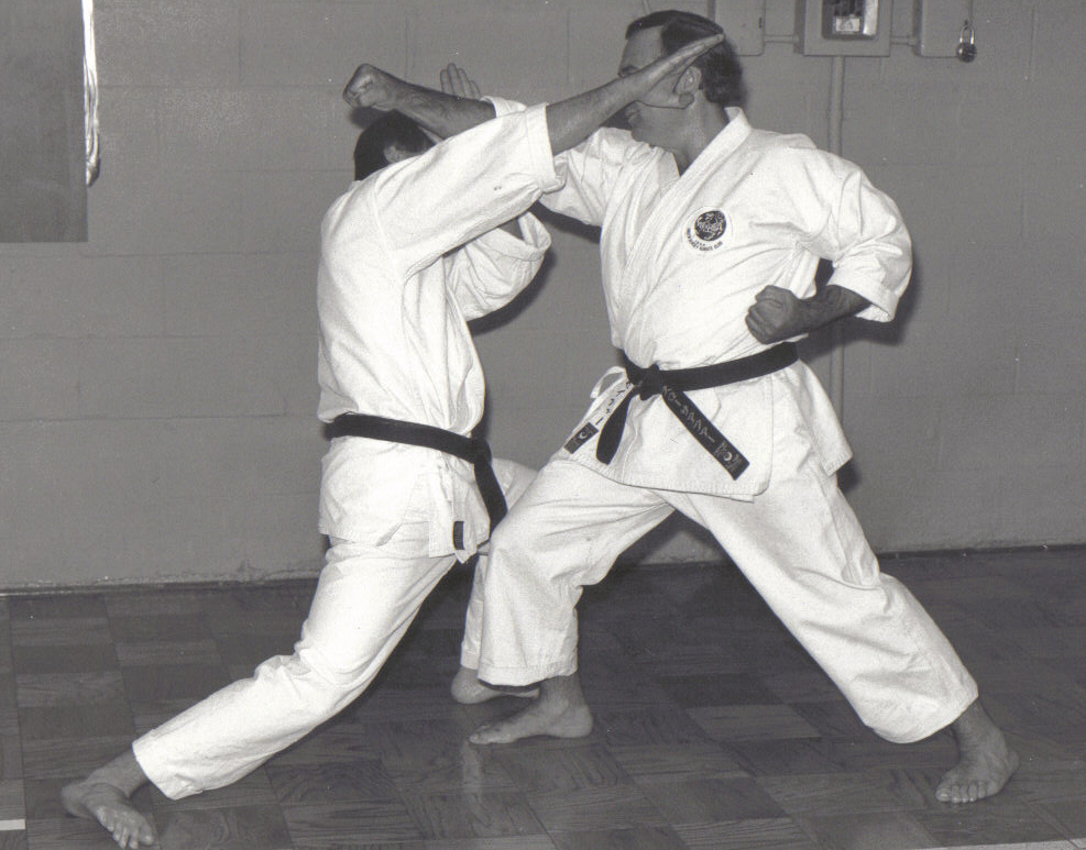 Our Martial Arts Programs | World-Class Traditional Shotokan Karate ...